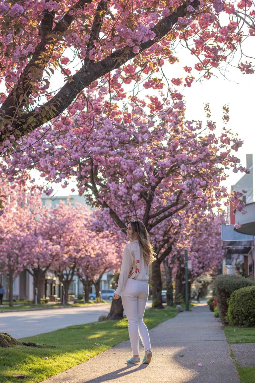 Top 10 places for Cherry Blossoms in Vancouver, Canada | Chrissy Preecy ...
