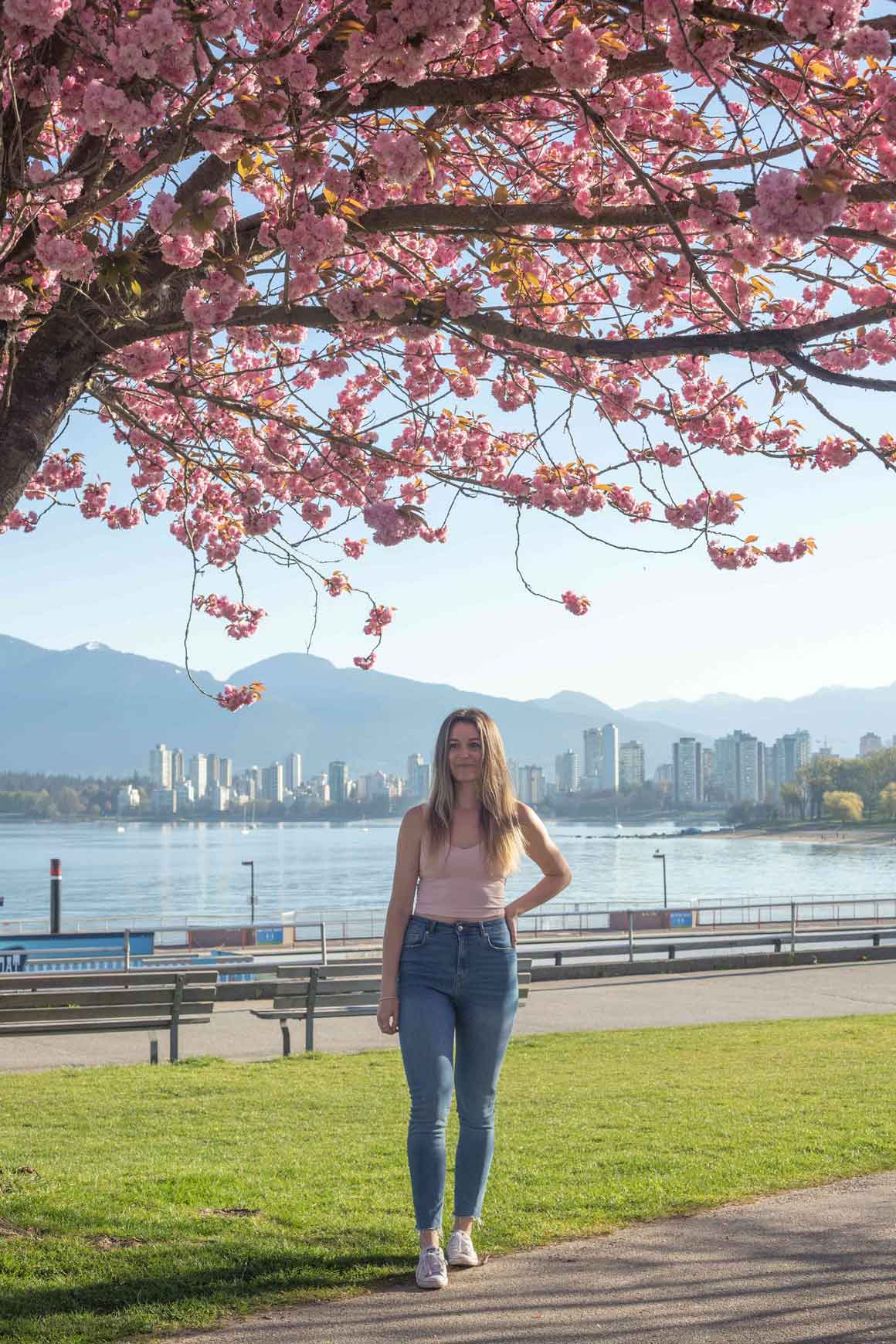Top 10 places for Cherry Blossoms in Vancouver, Canada | Chrissy Preecy ...