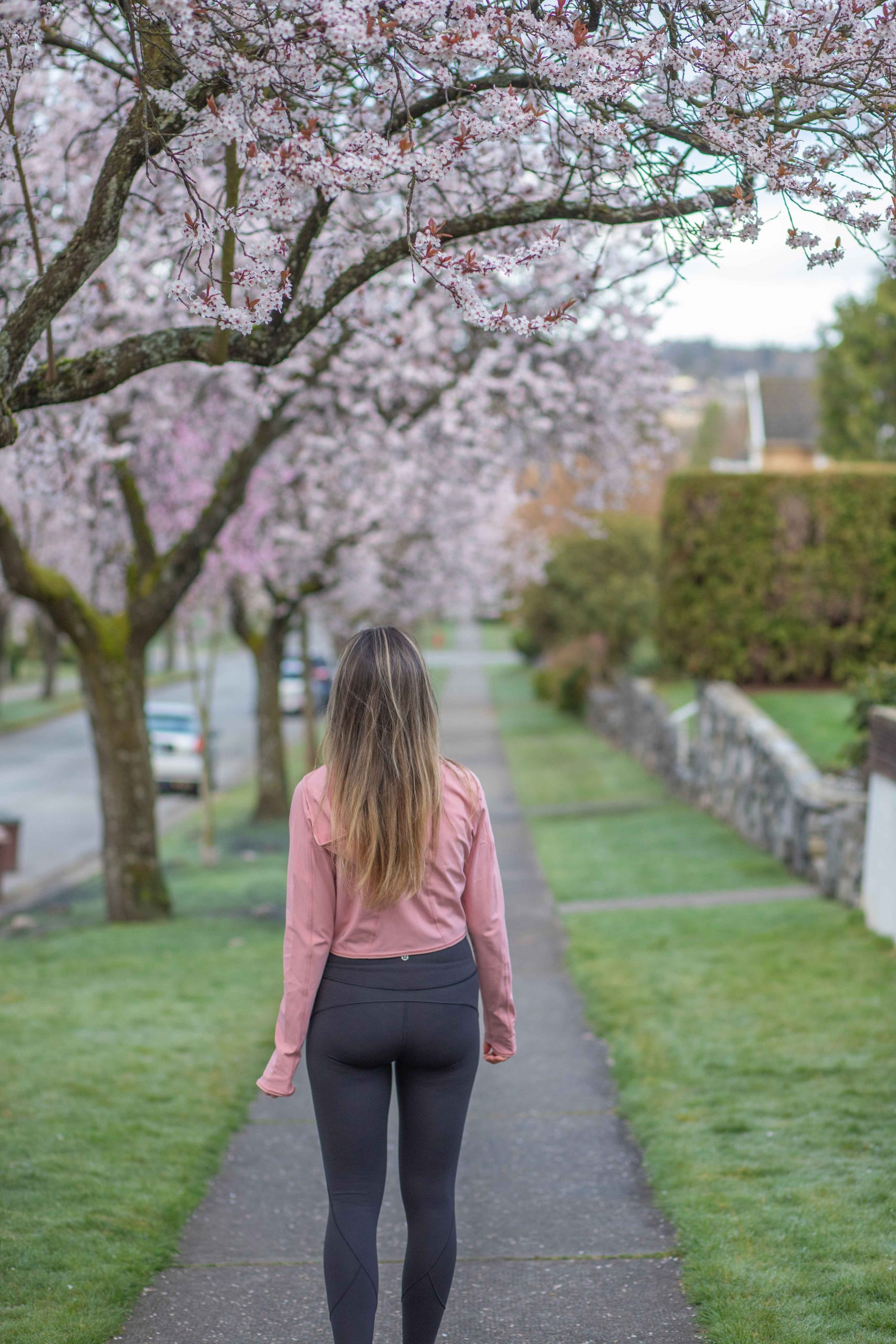 Top 10 places for Cherry Blossoms in Vancouver, Canada | Chrissy Preecy ...
