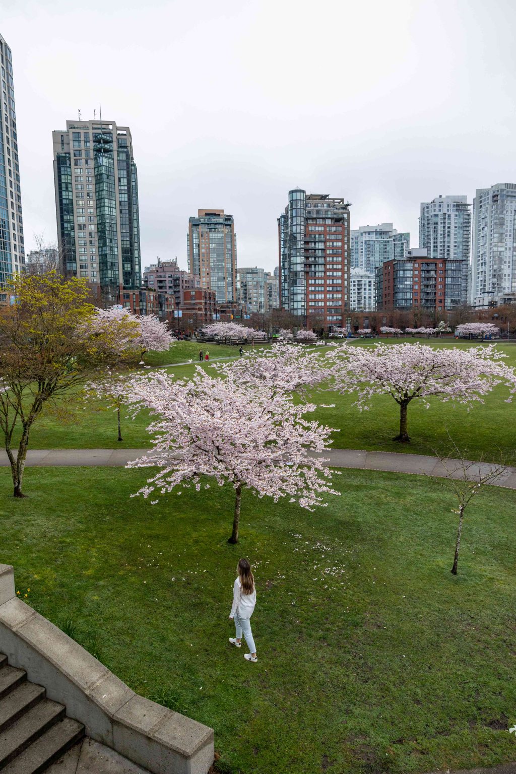 Top 10 places for Cherry Blossoms in Vancouver, Canada | Chrissy Preecy ...
