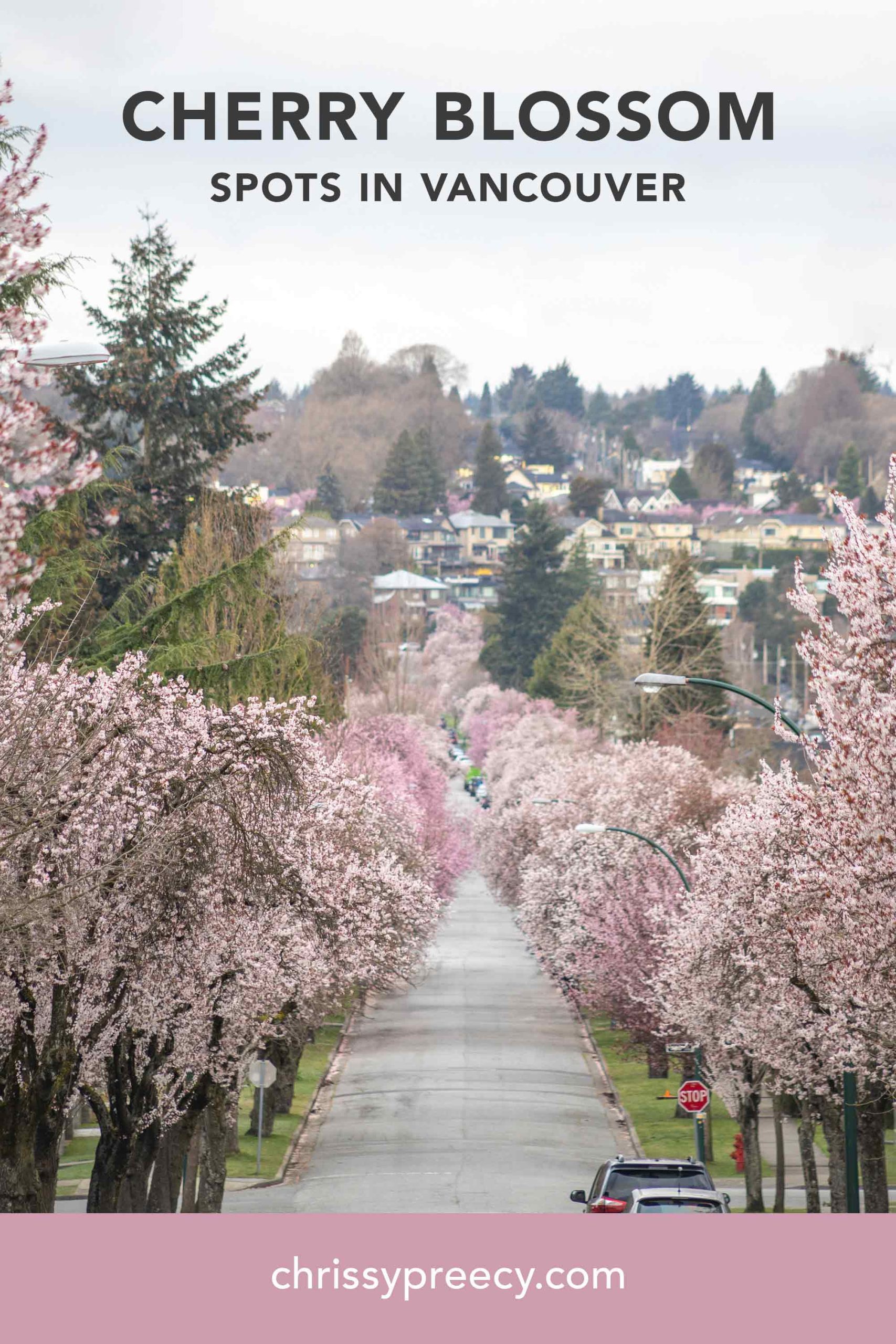 Top 10 places for Cherry Blossoms in Vancouver, Canada | Chrissy Preecy ...