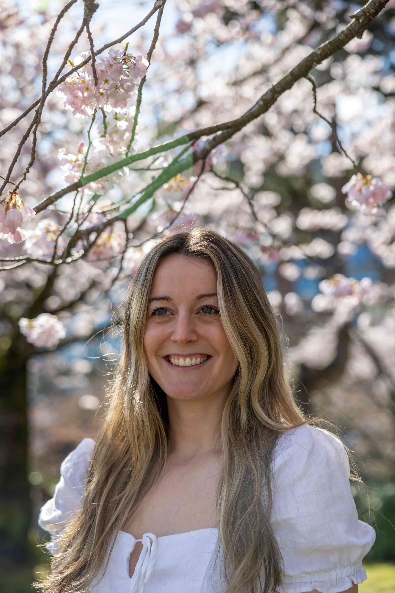 Top 10 places for Cherry Blossoms in Vancouver, Canada | Chrissy Preecy ...