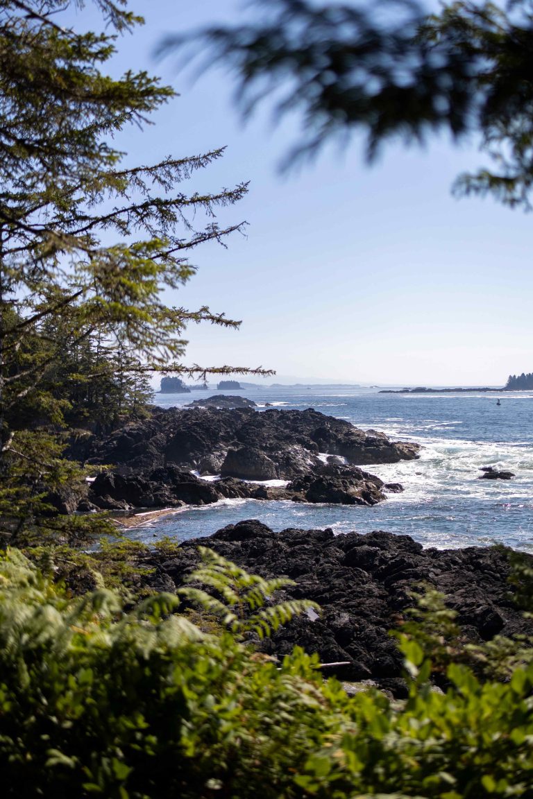 Colours of Ucluelet | Chrissy Preecy - Graphic Designer