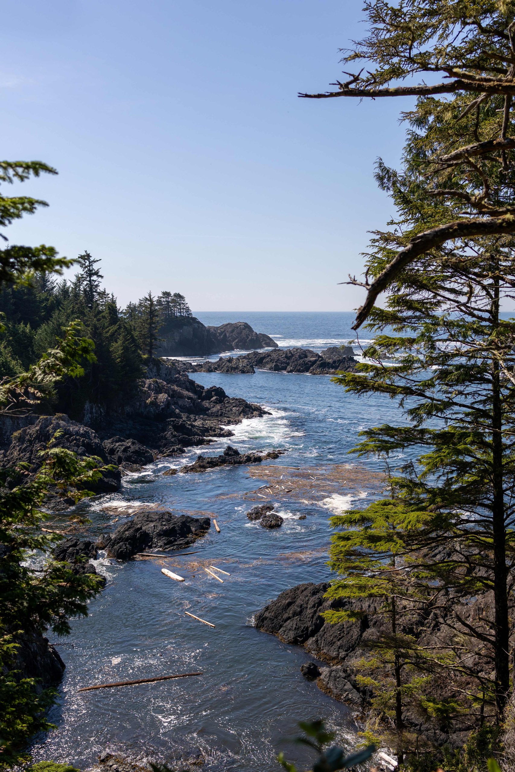 Colours of Ucluelet | Chrissy Preecy - Graphic Designer