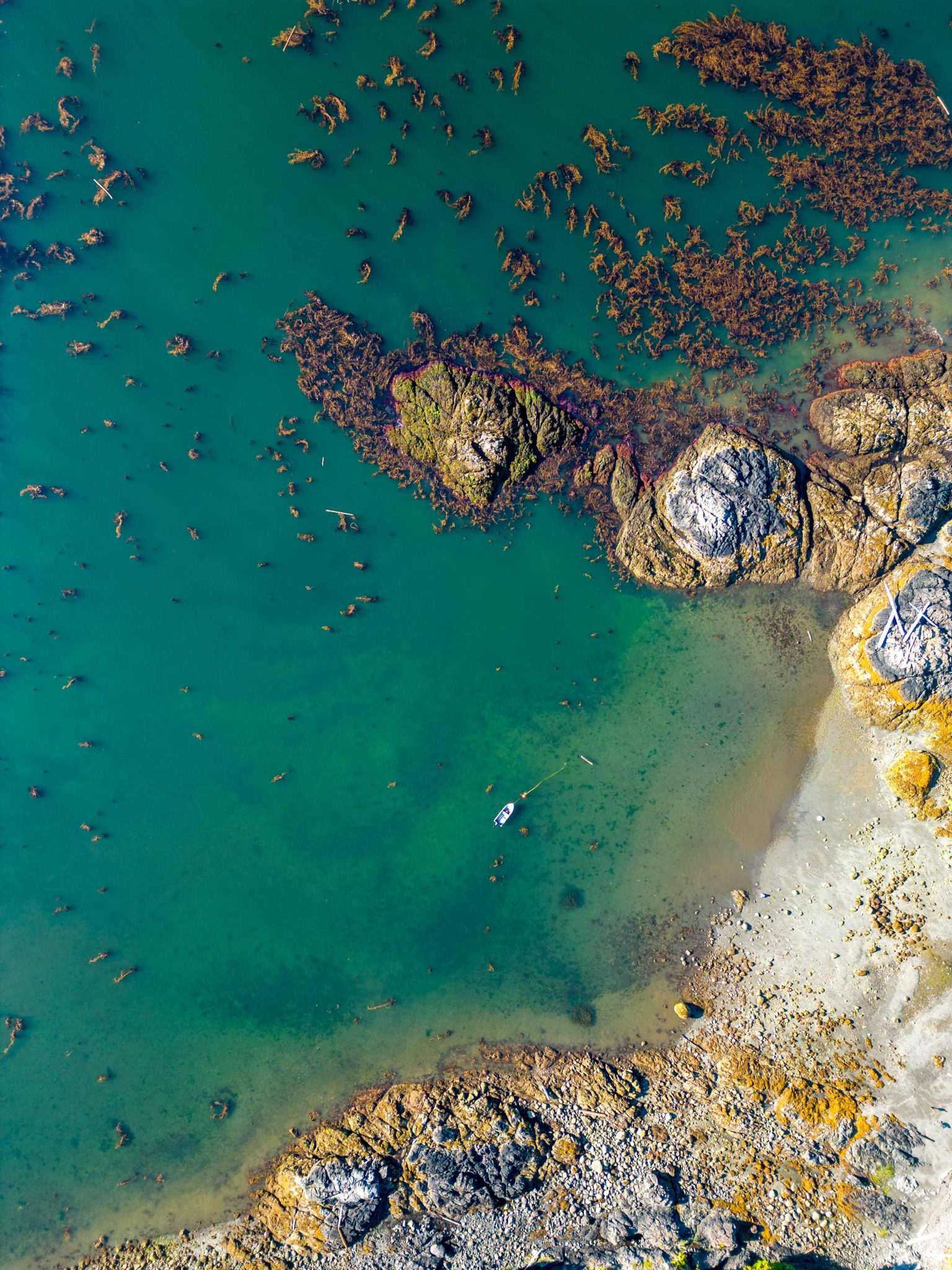 Colours of Ucluelet | Chrissy Preecy - Graphic Designer