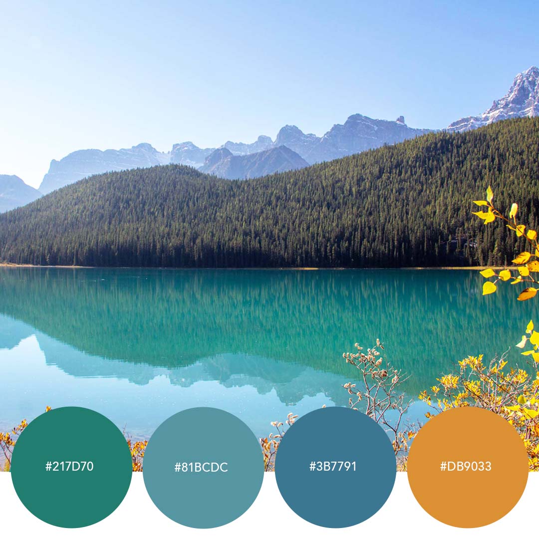 Colours of Series | Chrissy Preecy - Graphic Designer