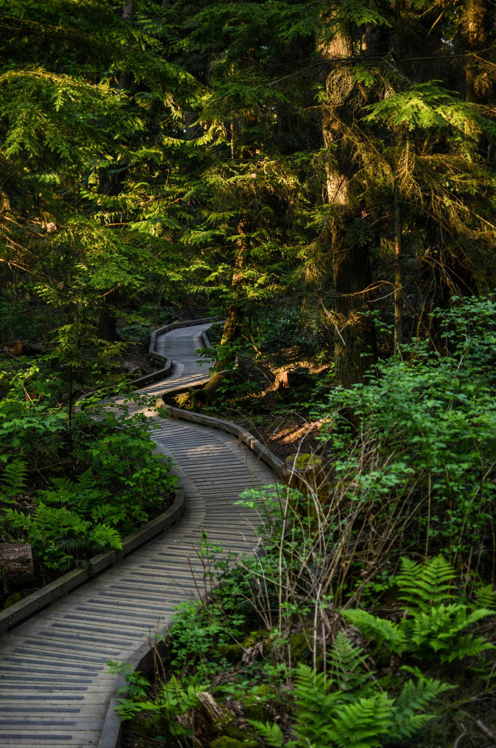 Vancouver Travel Guide: 7 Day Itinerary | Chrissy Preecy - Graphic Designer