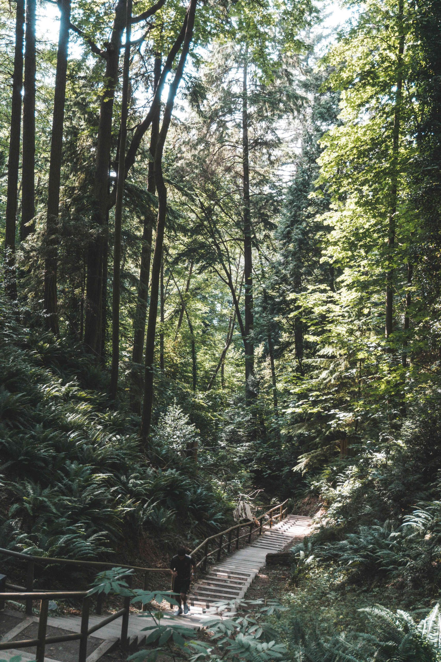 Vancouver Travel Guide: 7 Day Itinerary | Chrissy Preecy - Graphic Designer